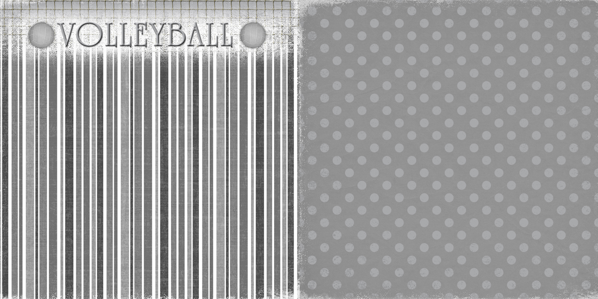 Game Day: Volleyball Game